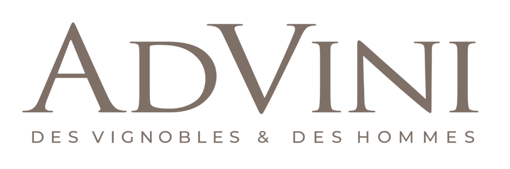 Advini recrute ! | Advini